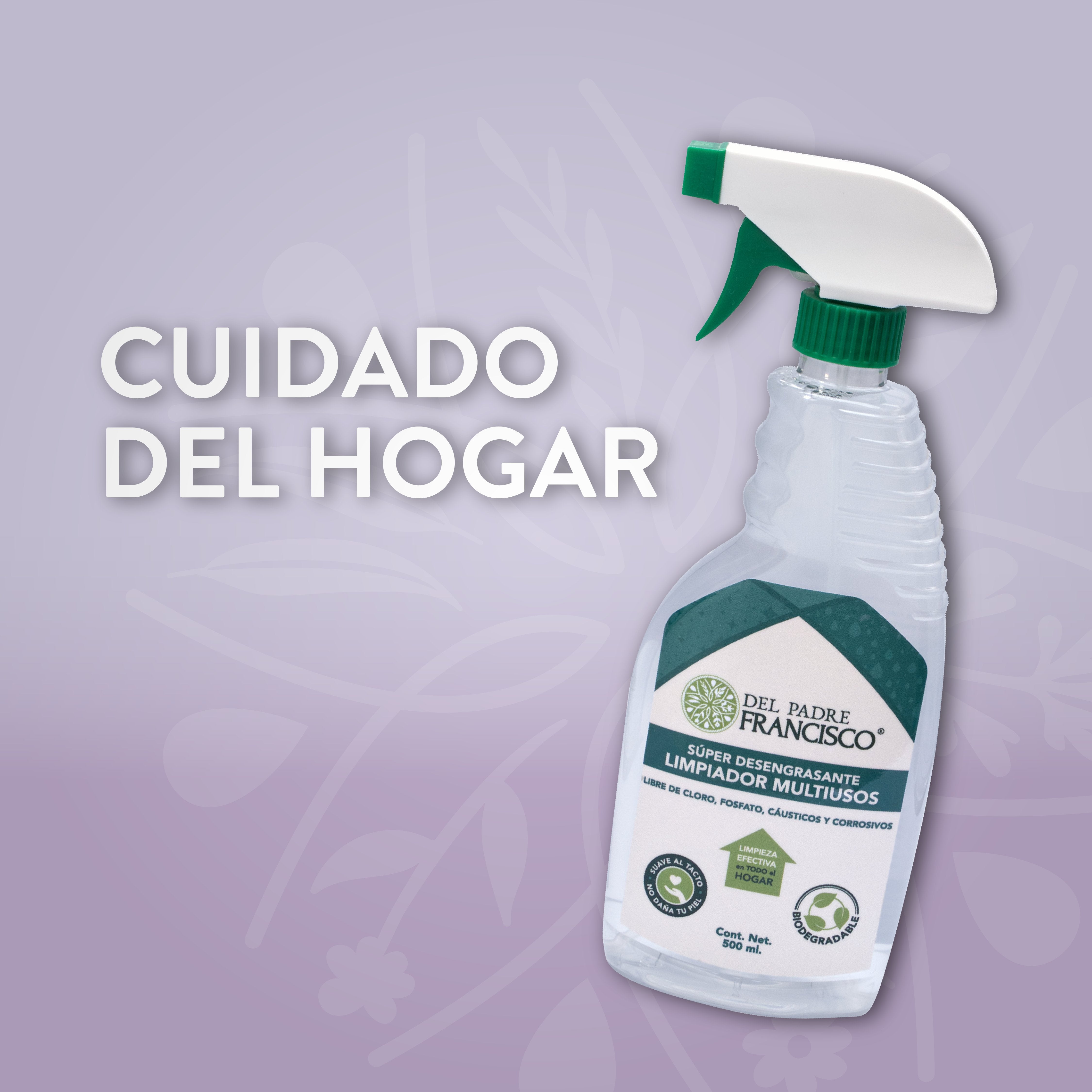 Cuidado del Hogar – Del Padre Francisco
